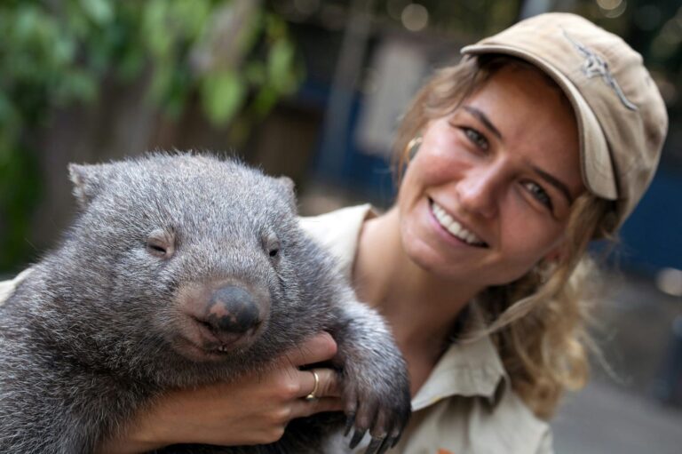 Kenapa Wombat Bisa Jadi Salah Satu Hewan Paling Aneh di Dunia? - Dunia ...